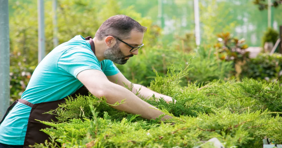 Commercial Weed Control Service in Houston, TX | Brookway